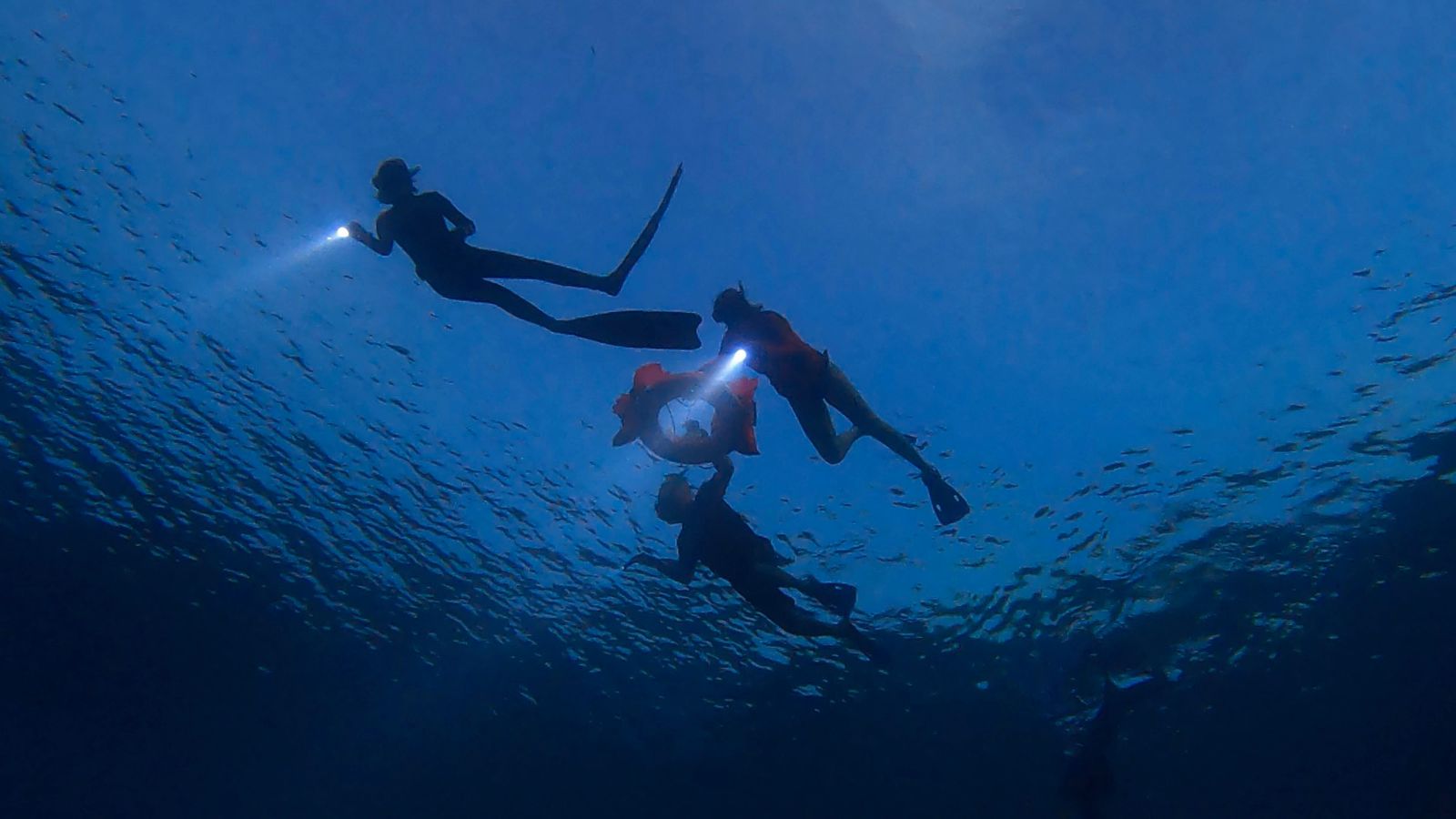 Cozumel H2O » Snorkel Package